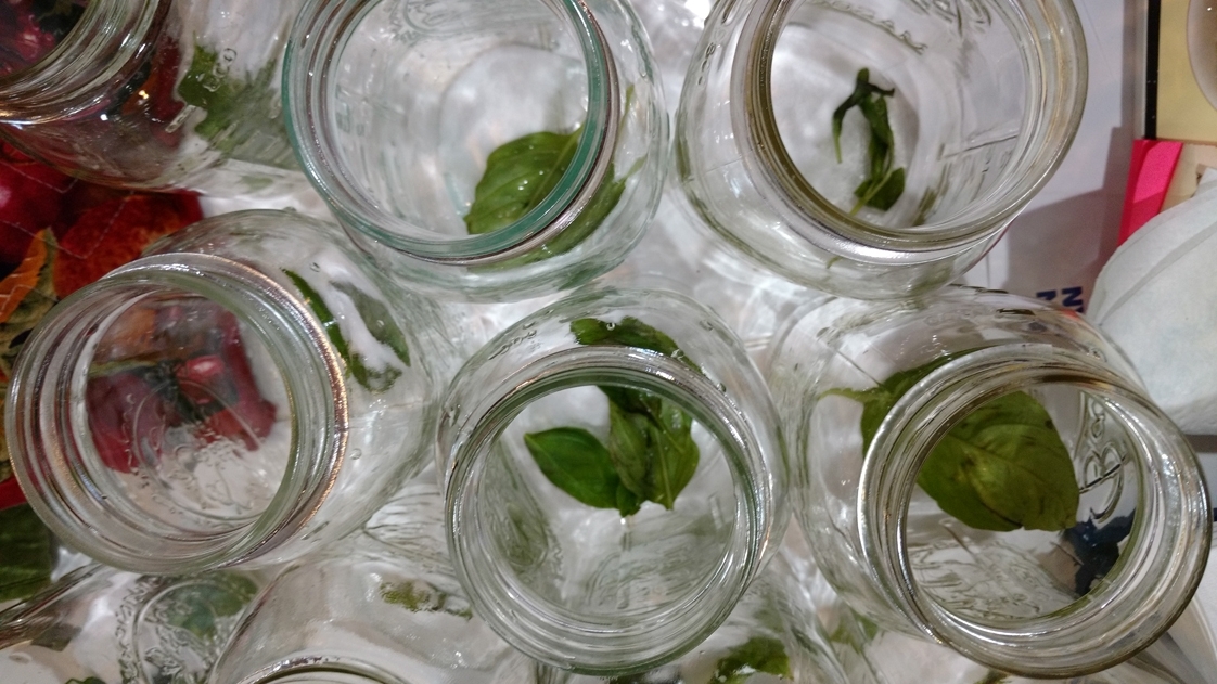 How to Jar Tomatoes, Italian Style – La Ciociara